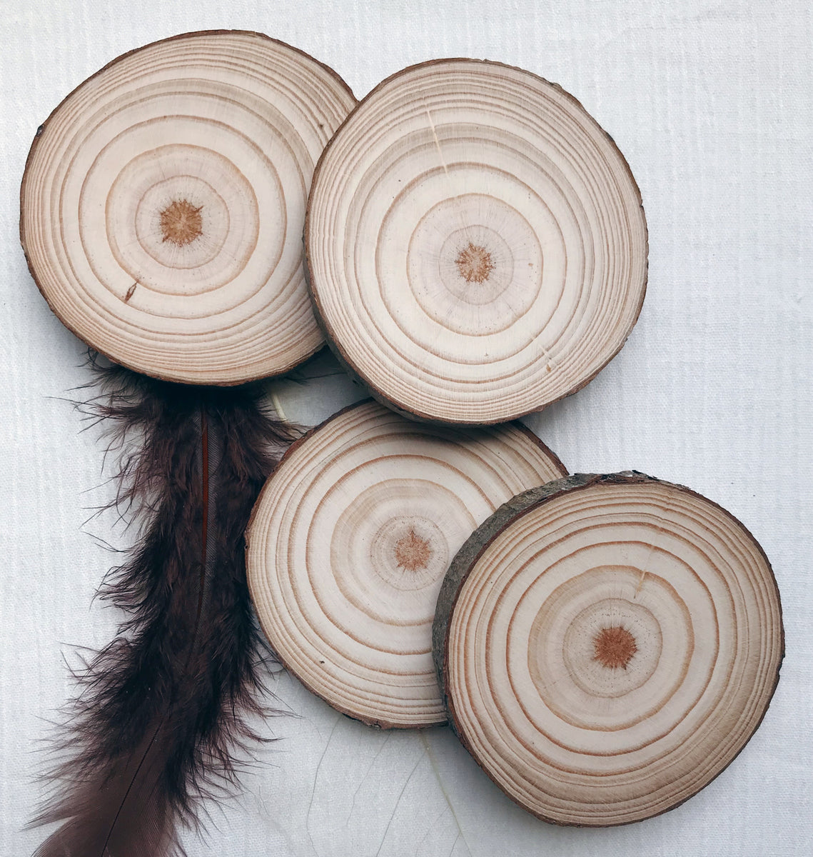 Wood Slices Medium - Custom – Feather and Leaf Co